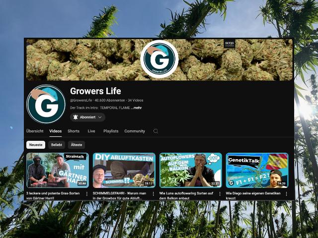 Der YouTube-Kanal „Growers Life“ von Vince